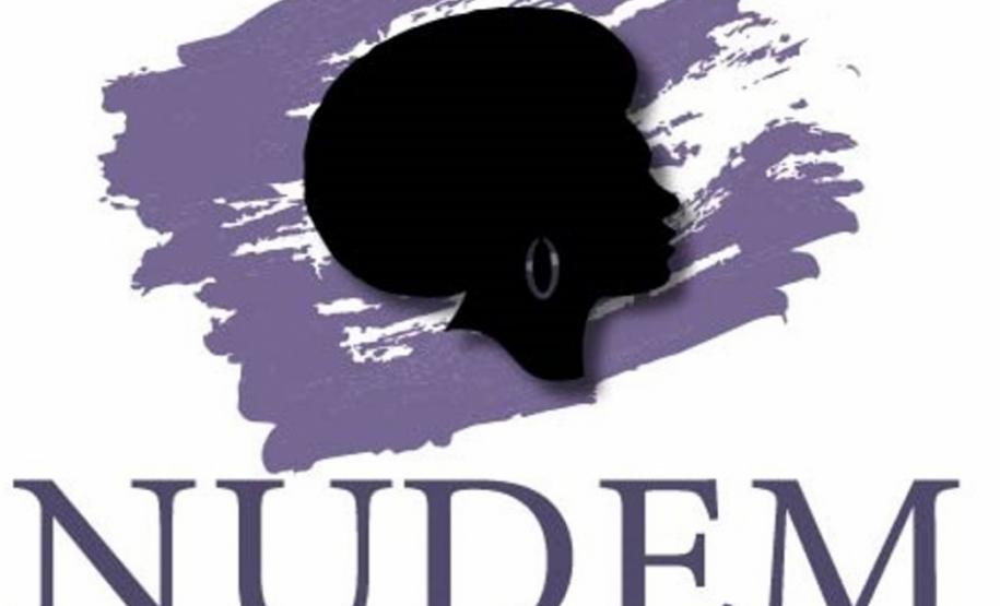 NUDEM e Casa da Mulher Brasileira realizam visitas de inspeção nas ...